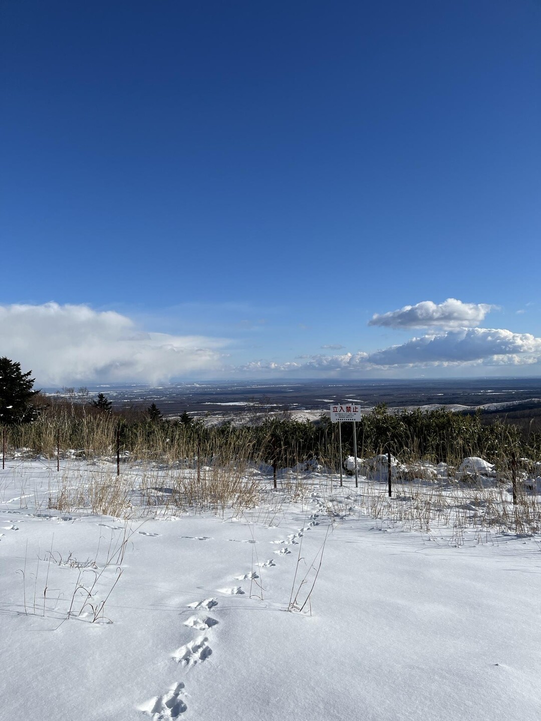 北広山でスノーシューの練習 / my kit777さんの野牛山・北広山の活動データ | YAMAP / ヤマップ