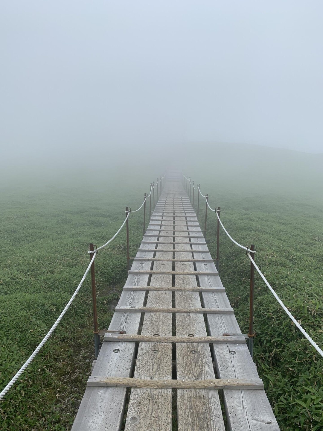 剣山 / cosuyaさんの剣山の活動データ | YAMAP / ヤマップ