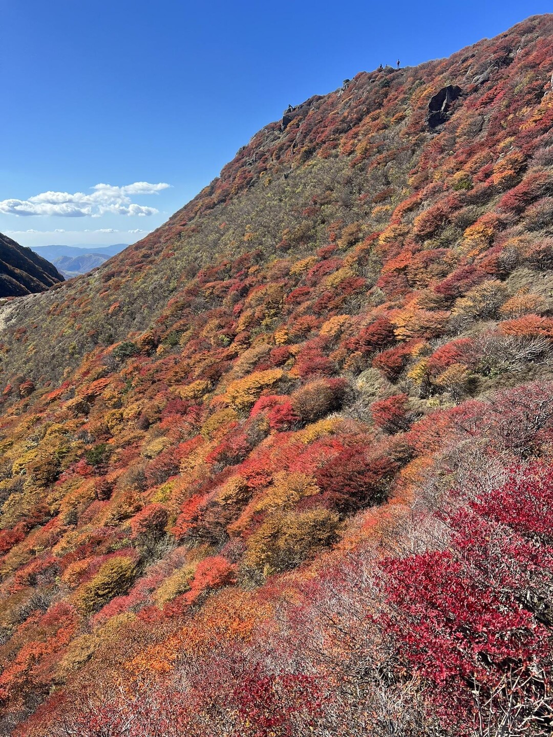 三俣山（西峰）・三俣山（Ⅳ峰）・三俣山（本峰）・三俣山（南峰）・三俣山（北峰） / motoyaさんの九重山（久住山）・大船山・星生山の活動データ | YAMAP / ヤマップ