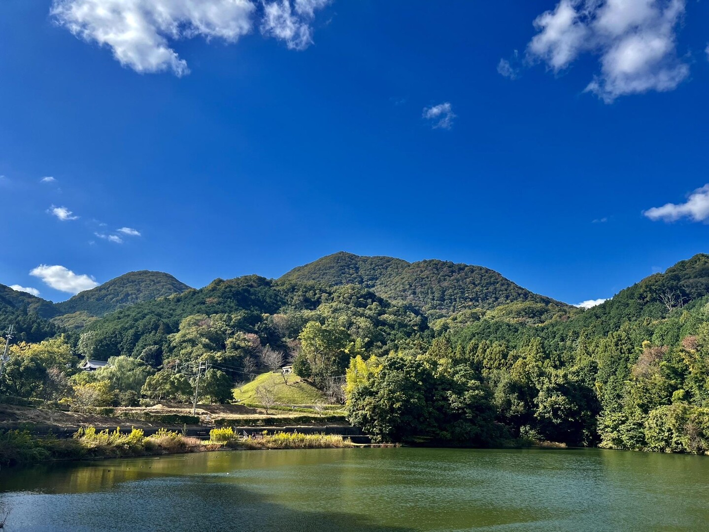 快晴☀️二上山（雄岳）・二上山（雌岳）・原岳 / moboさんの金剛山・二上山・大和葛城山の活動データ | YAMAP / ヤマップ