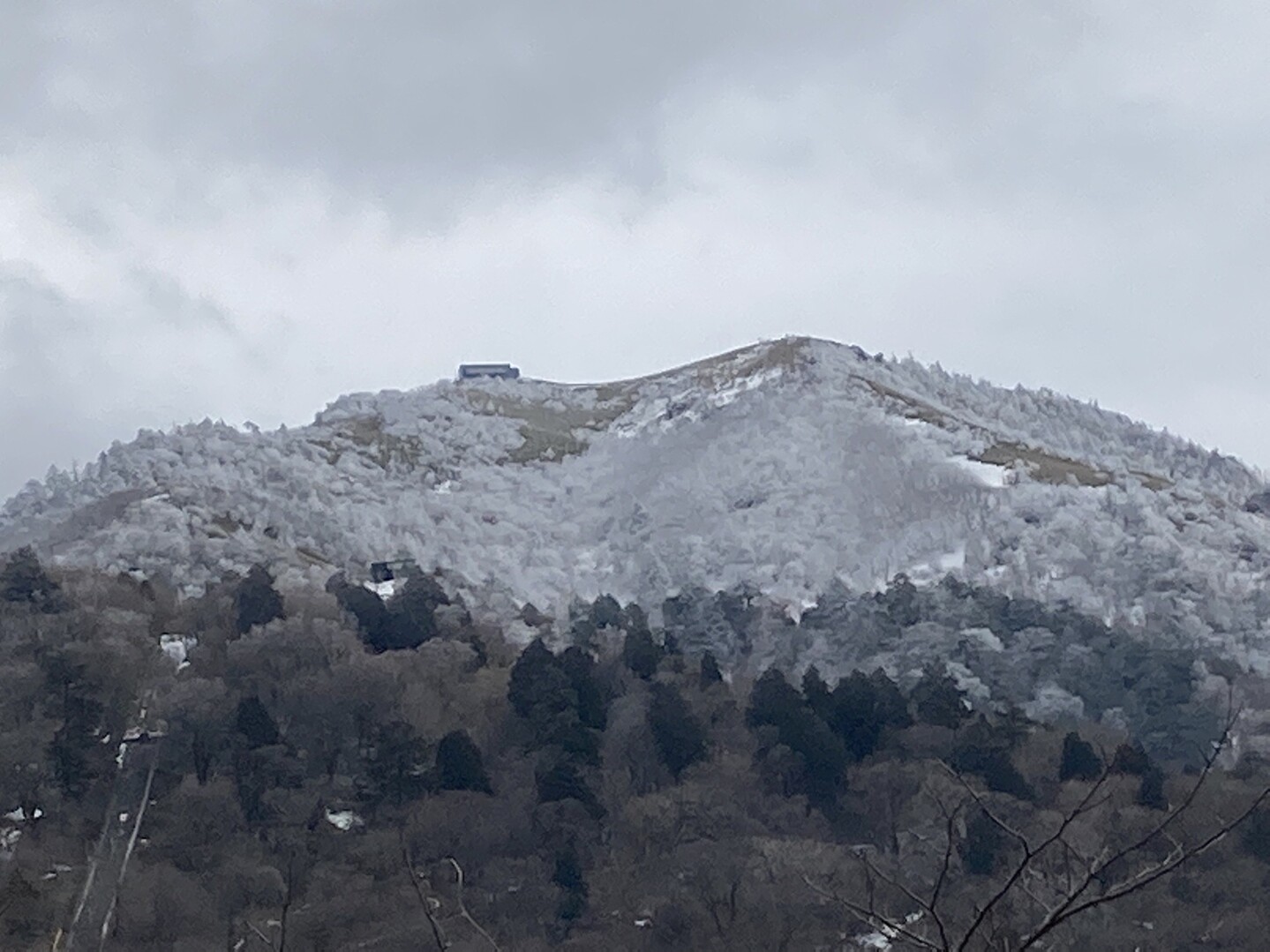 雪山の剣山 / datera🐻🐻🐻さんの剣山の活動データ | YAMAP / ヤマップ
