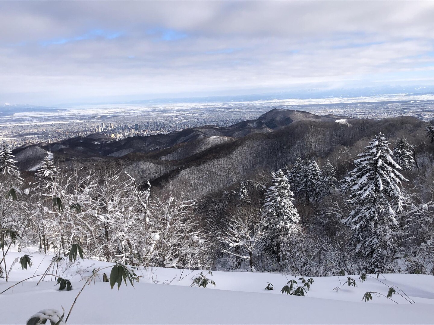 奥盤渓山・三角山・砥石山・割れ山 / katuraさんの砥石山・青山の活動データ | YAMAP / ヤマップ