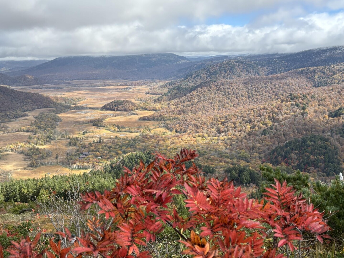 紅葉の尾瀬 鳩待峠→牛首→至仏山 / まちかさんの尾瀬・至仏山・悪沢岳・笠ヶ岳の活動日記 | YAMAP / ヤマップ