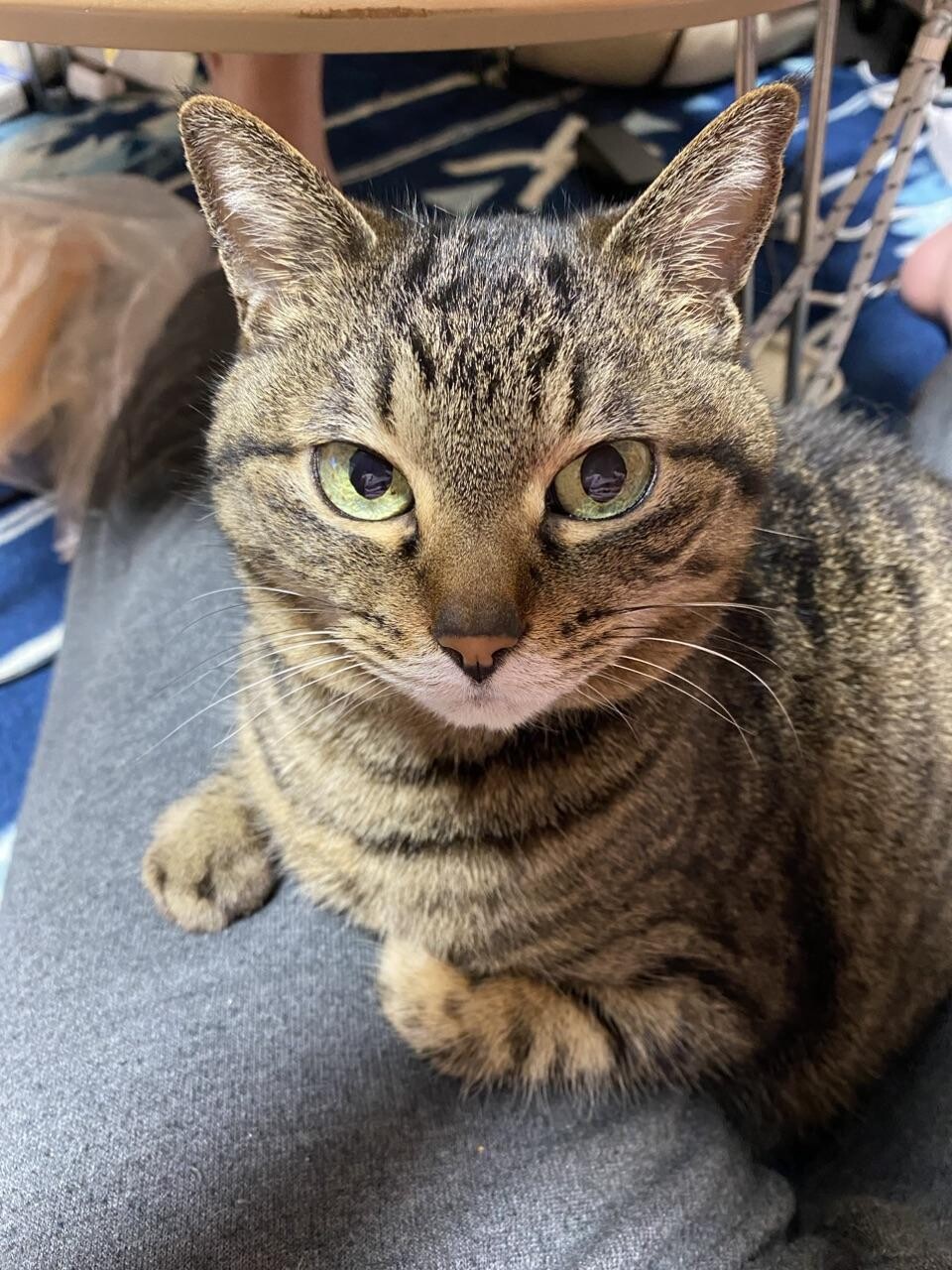 JK JK JMのページ | YAMAP / ヤマップ