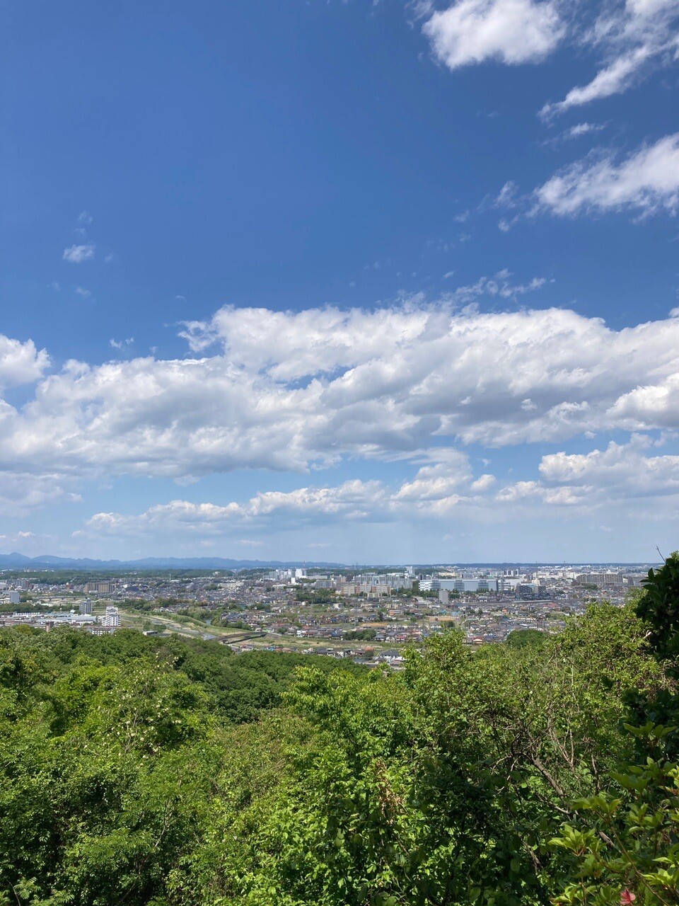 都立長沼公園は山だった / FIT RSさんの八王子市の活動データ | YAMAP / ヤマップ