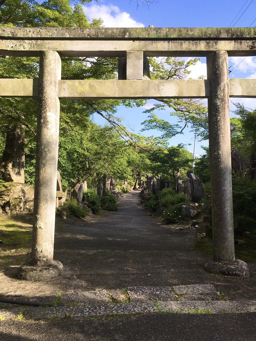 龍王山 2023-07-16 / kameさんの鬼ノ城（鬼城山）の活動日記 | YAMAP / ヤマップ