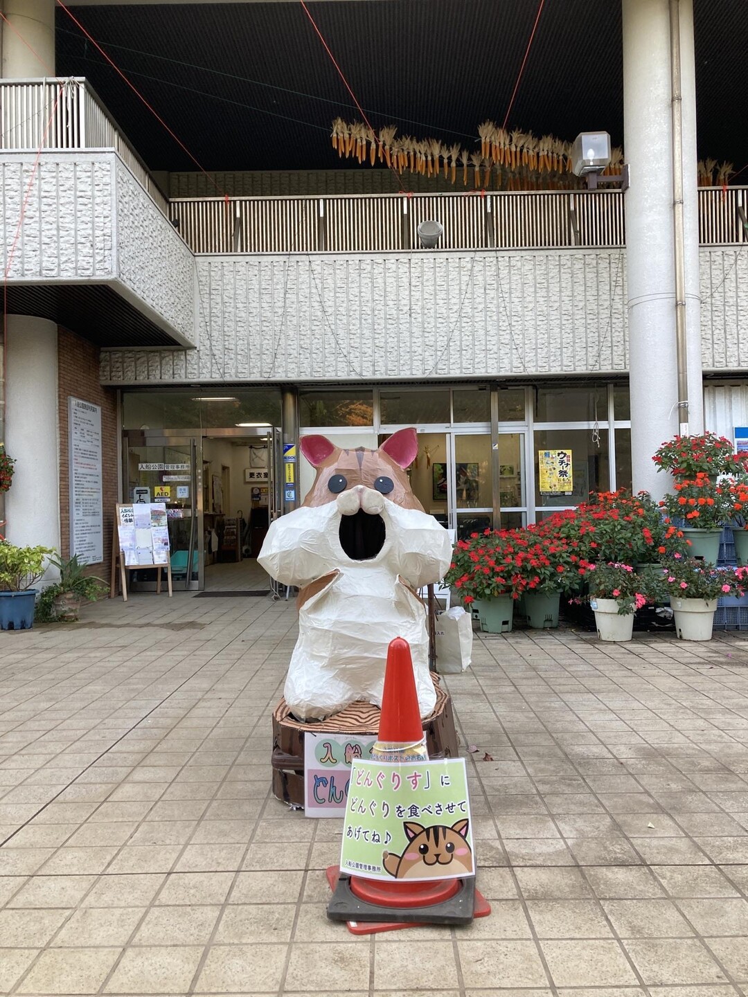 2023.11.03(金) 21:46 / ドーナツ2個さんのモーメント | YAMAP / ヤマップ