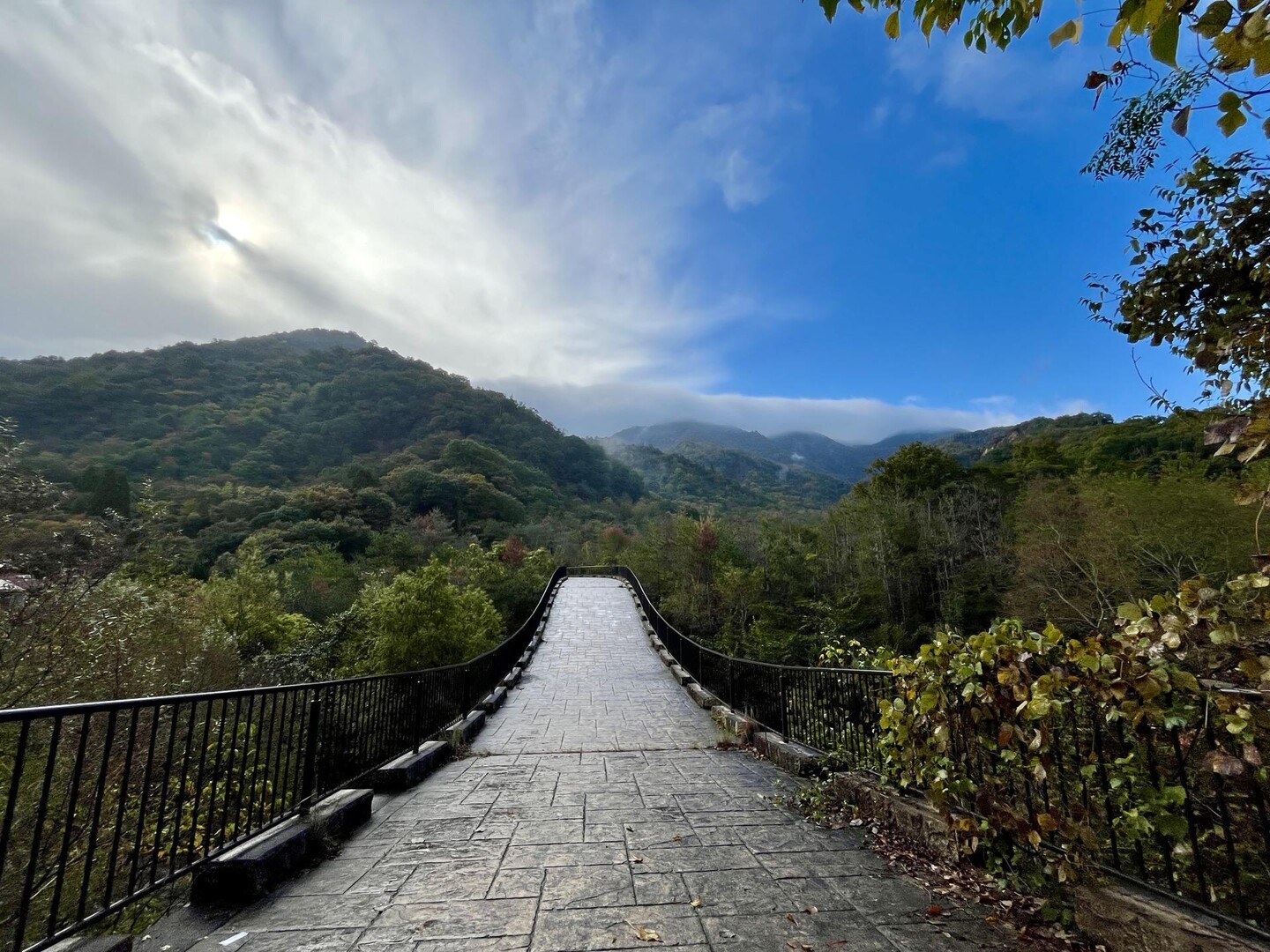 蓬莱峡・座頭谷 / まん丸さんの六甲山・長峰山・摩耶山の活動データ | YAMAP / ヤマップ