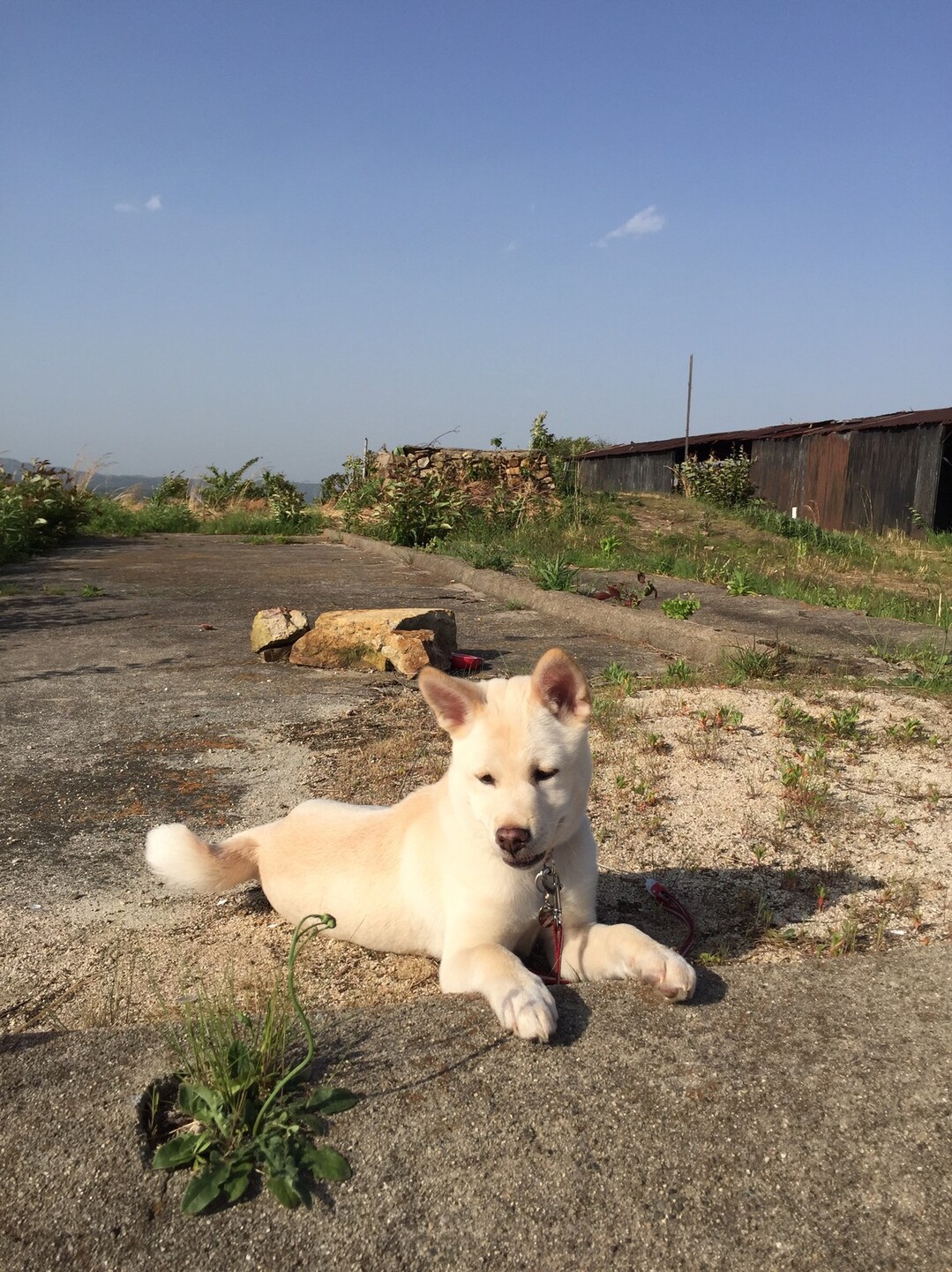 大平山 / HIGE（SOU）さんの岡山市（中区）の活動データ | YAMAP / ヤマップ