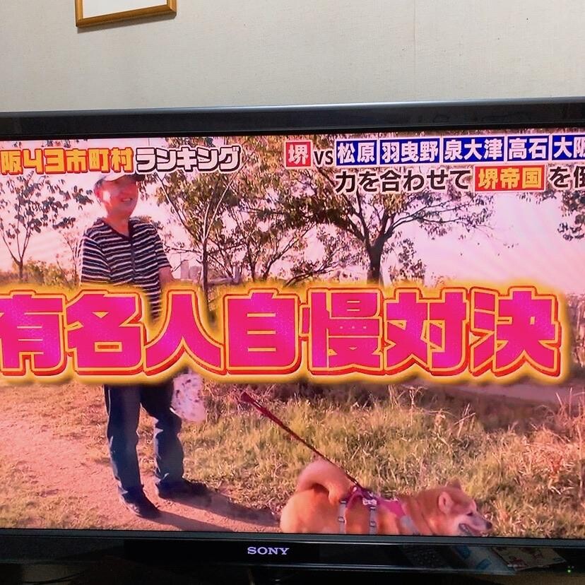 今夜のテレビ大阪📺 「大阪43市町村ラ... / はなちゃんママさんのモーメント | YAMAP / ヤマップ