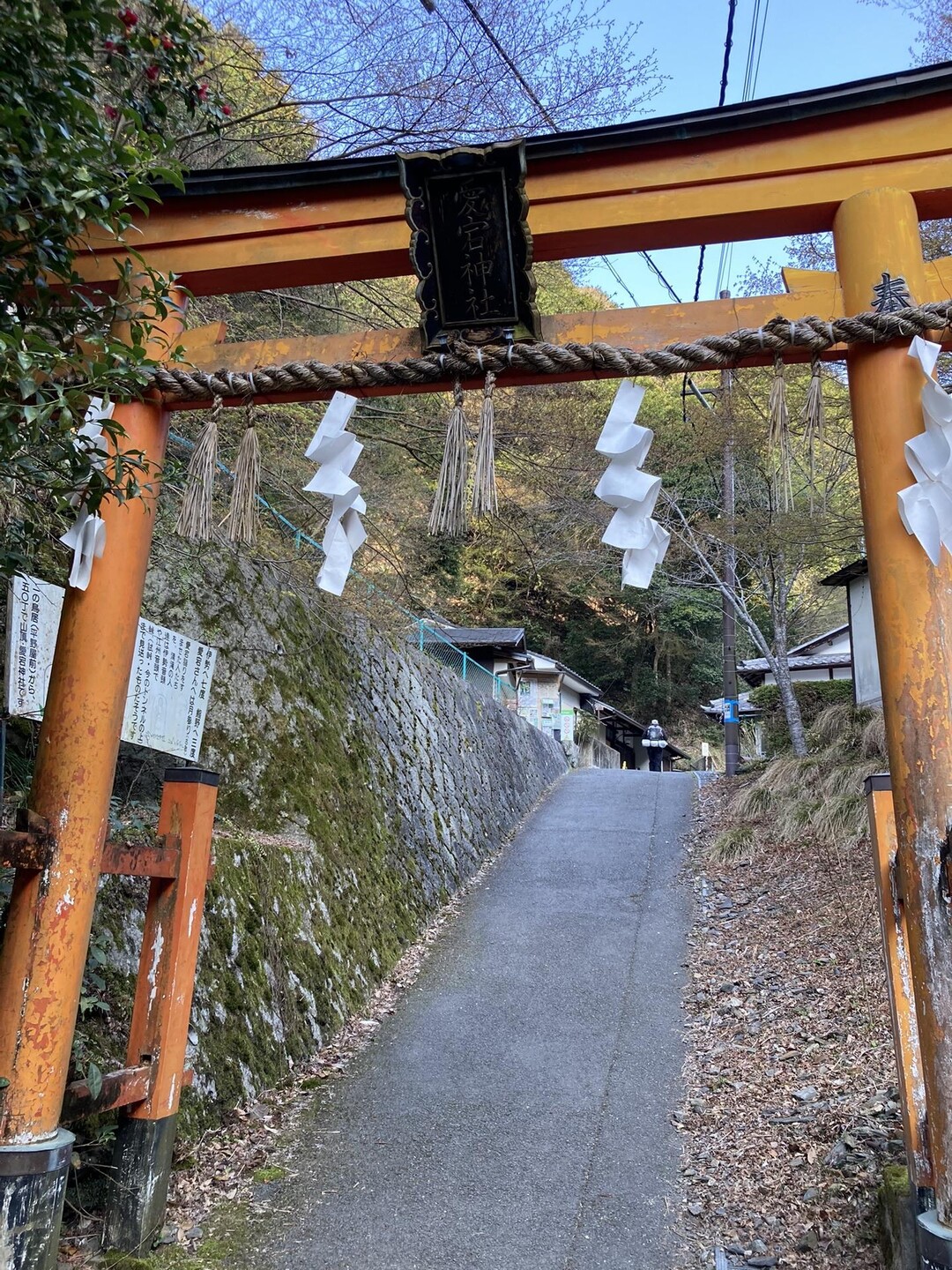 愛宕山 / KOSけさんの愛宕山・三頭山・朝日峯の活動データ | YAMAP / ヤマップ