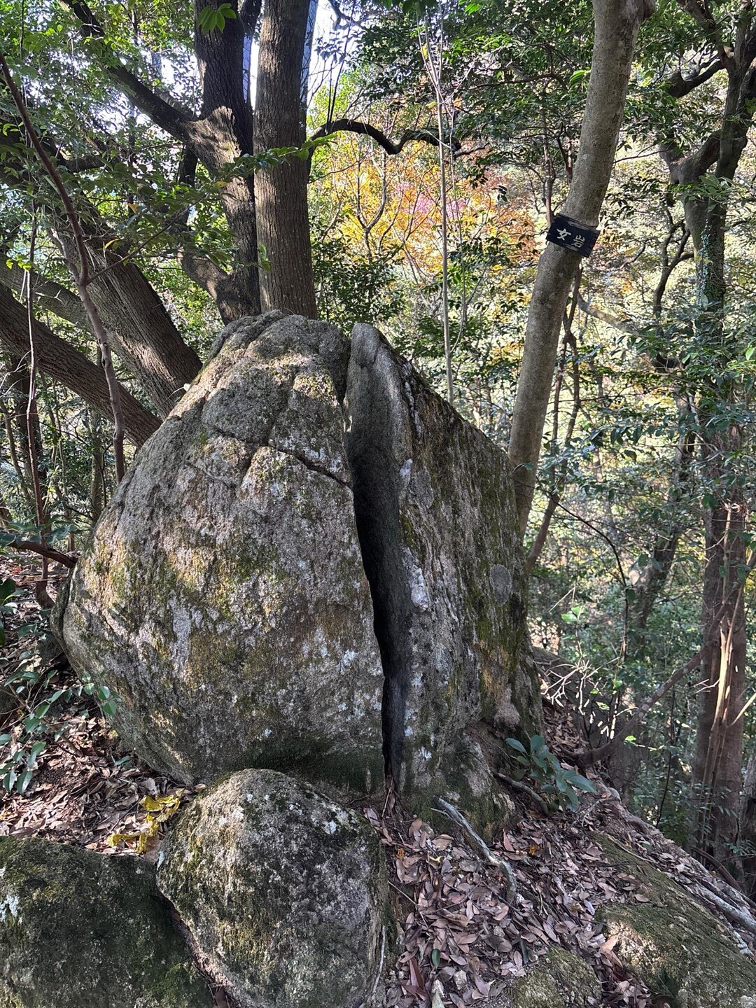 reiさんの投稿したフィールドメモ | YAMAP / ヤマップ