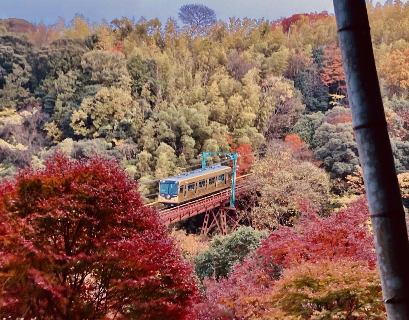 🏯淀城〜鳩ヶ峰〜⛩️石清水八幡宮 / yasu_yasuさんの京街道（淀宿～枚方宿）の活動データ | YAMAP / ヤマップ