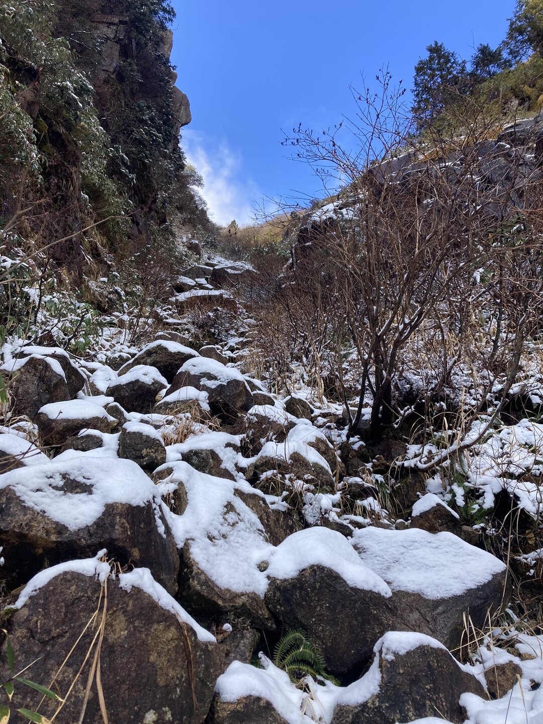 本谷・一ノ谷新道 御在所岳-2024-01-04 / Ericさんの御在所岳（御在所山）・雨乞岳の活動データ | YAMAP / ヤマップ