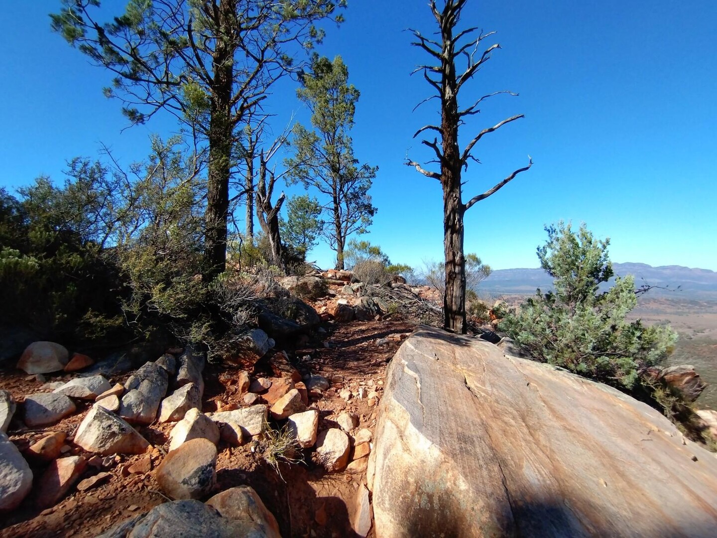 AUS⑥｜灼熱のトレッキング / Maunaさんのウォーキングの活動データ | YAMAP / ヤマップ