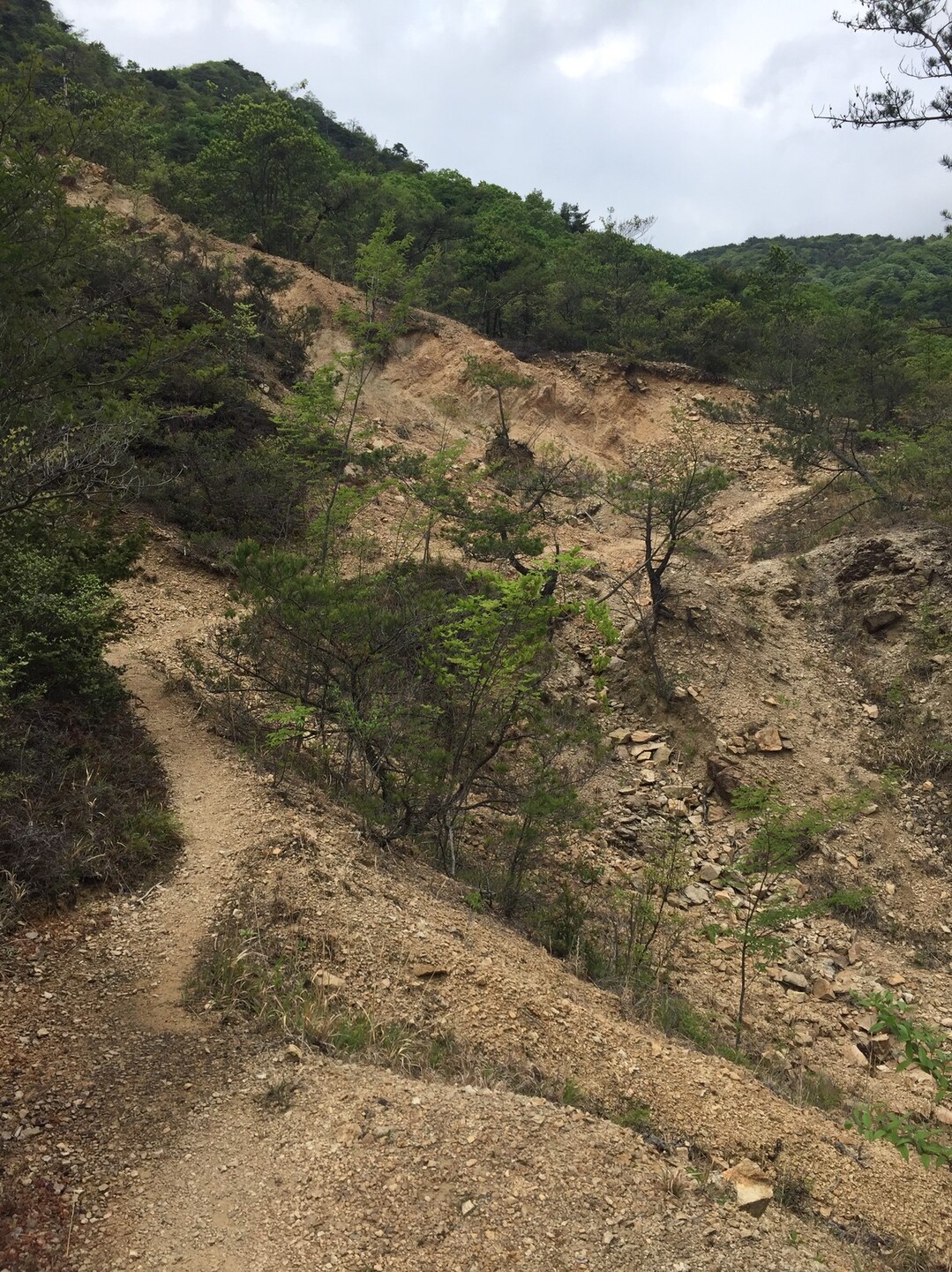 夏山登山に向けてのトレーニング / Sab Zeroさんの六甲山・長峰山・摩耶山の活動データ | YAMAP / ヤマップ