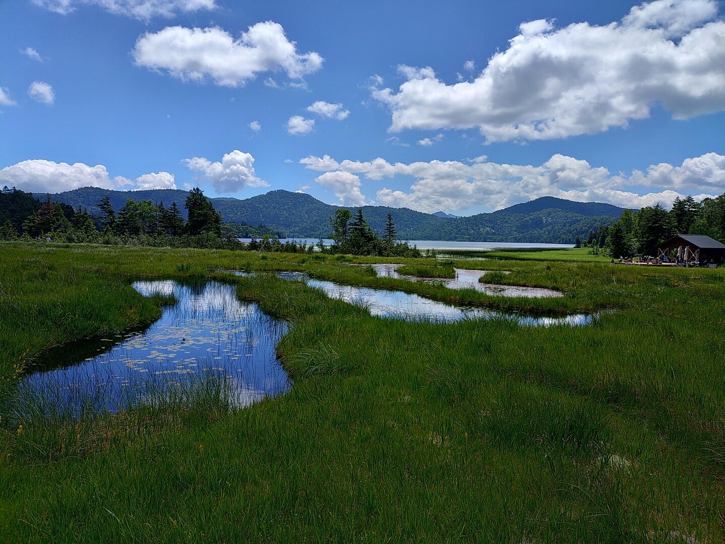 尾瀬・燧ヶ岳-2024-08-03 / take.mk2さんの尾瀬・燧ヶ岳の活動データ | YAMAP / ヤマップ