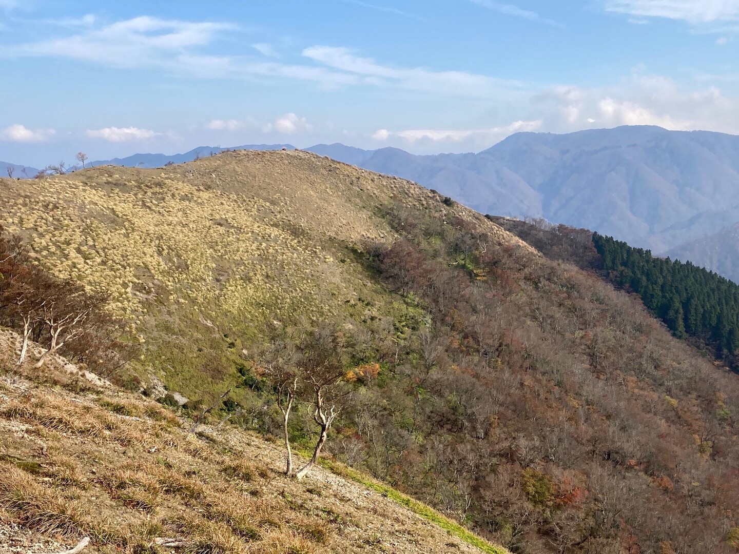 綿向山 / milkさんの綿向山の活動データ | YAMAP / ヤマップ