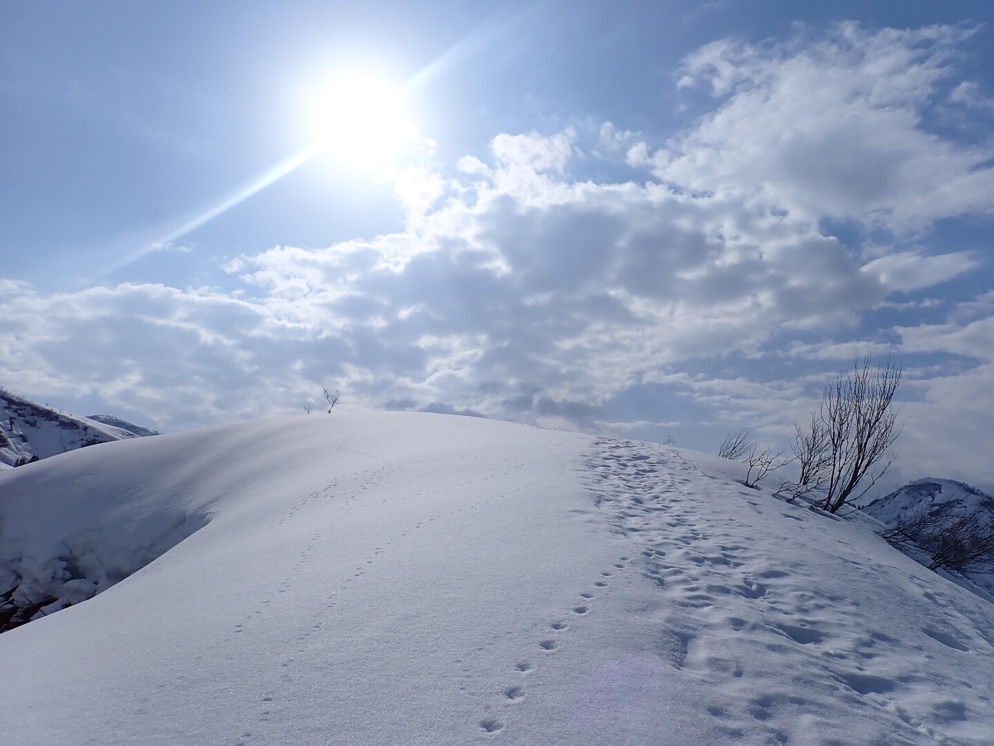 魚沼の鳴倉山でスノーシュー♫(^o^) / 3110さんの魚沼市（中心部）の活動データ | YAMAP / ヤマップ