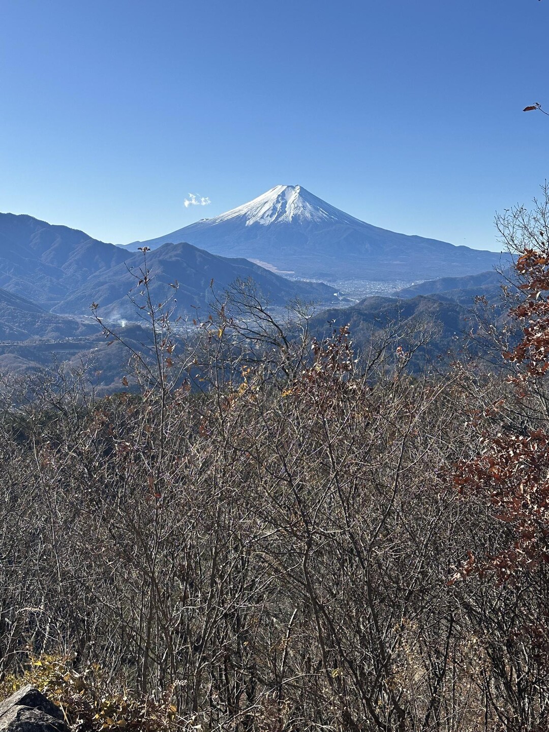 高川山・オキ山・むすび山 秀麗富嶽十二景 十一番山頂 / Riyuさんの高川山の活動データ | YAMAP / ヤマップ