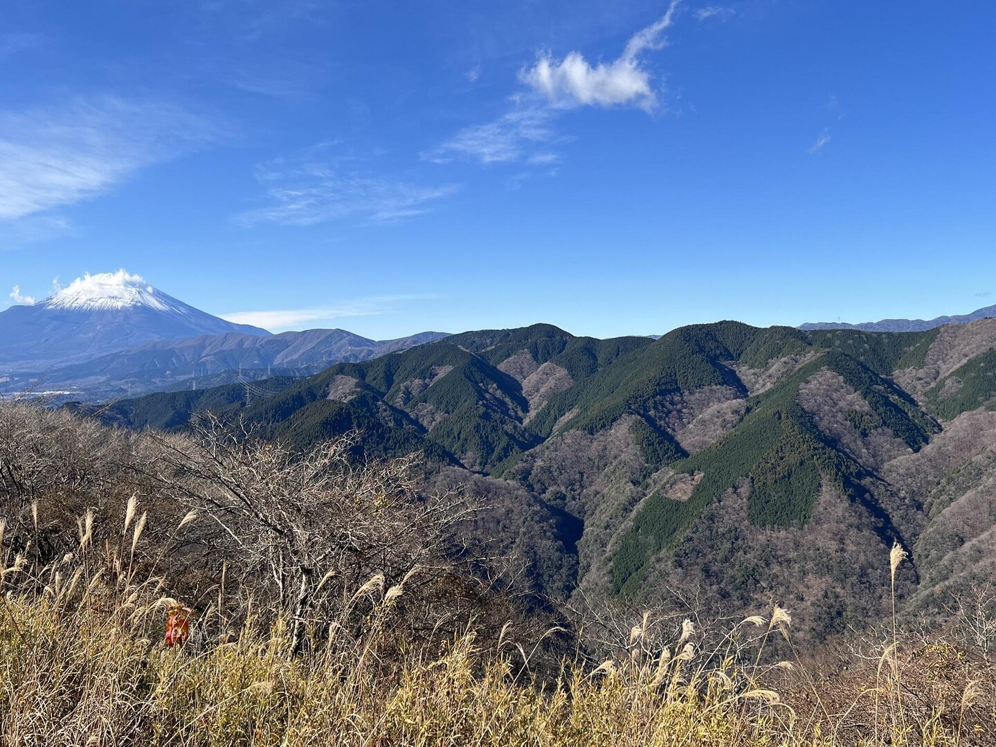 大野山 / su_maさんの高松山・大野山の活動データ | YAMAP / ヤマップ