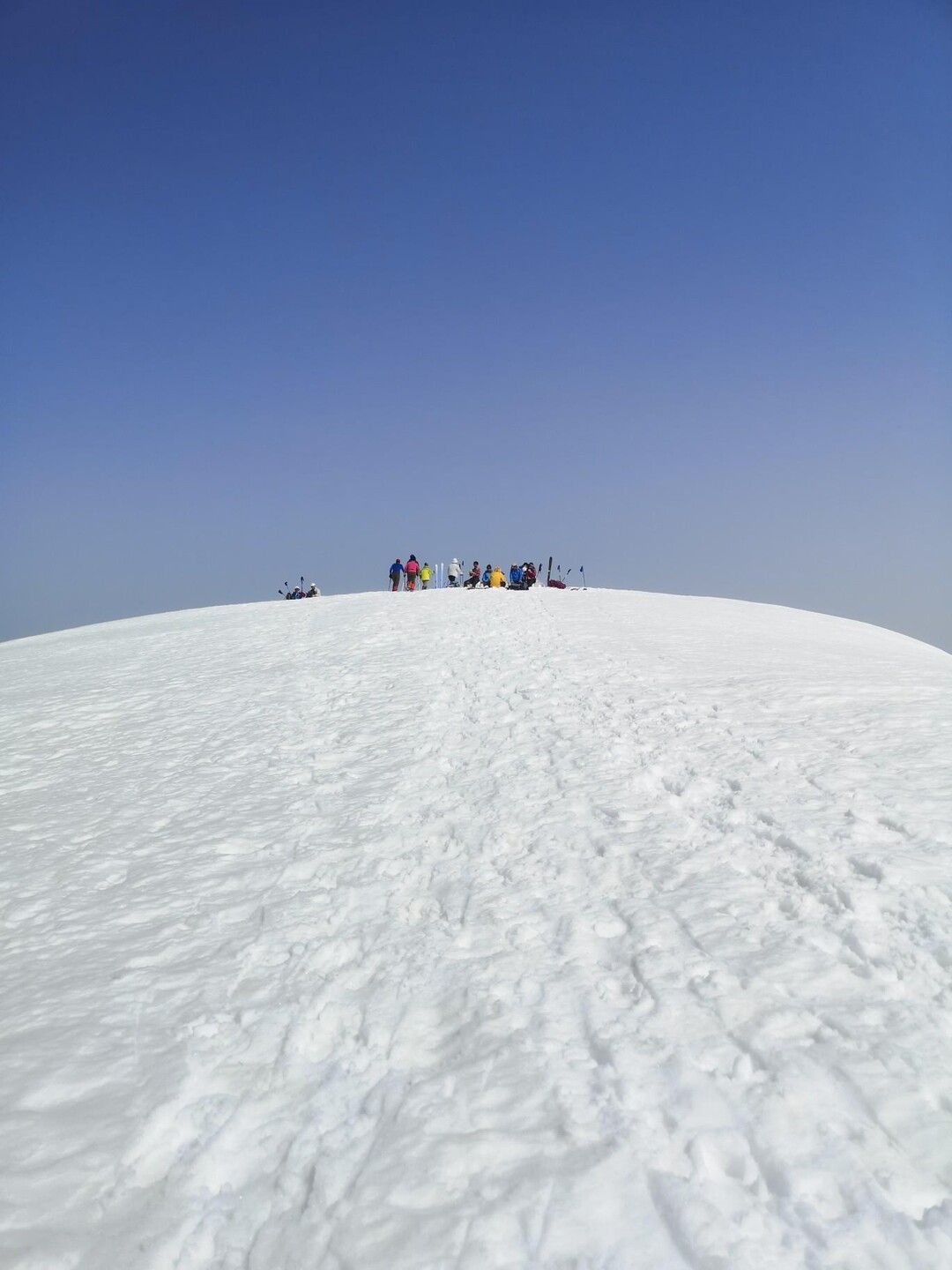 新潟 放山 / senさんの昼闇山・高松山・唐沢山の活動データ | YAMAP / ヤマップ