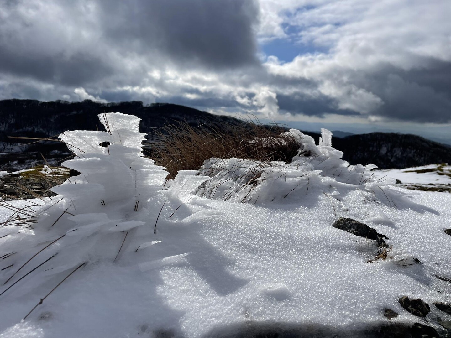 冬季通行止前に新雪キュッキュッの御池岳それから水沢もみじ谷 / Bobさんの藤原岳・御池岳の活動データ | YAMAP / ヤマップ