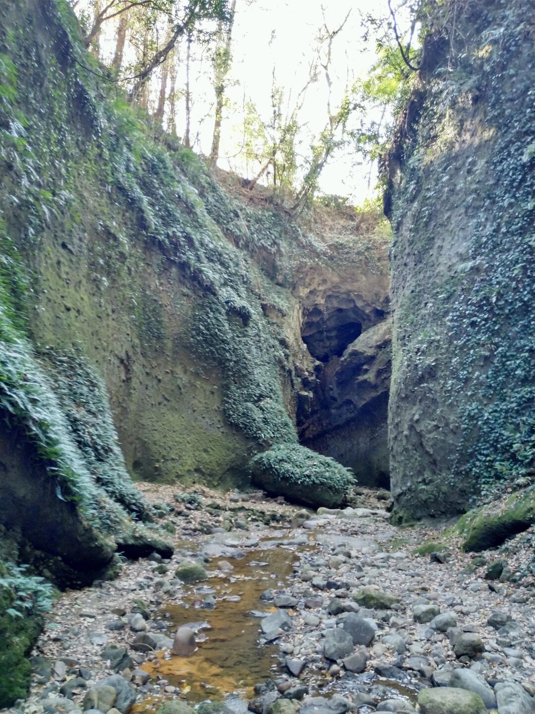 高知紀行4 安芸 伊尾木洞 2022-12-30 / とっちゃんさんのウォーキングの活動データ | YAMAP / ヤマップ