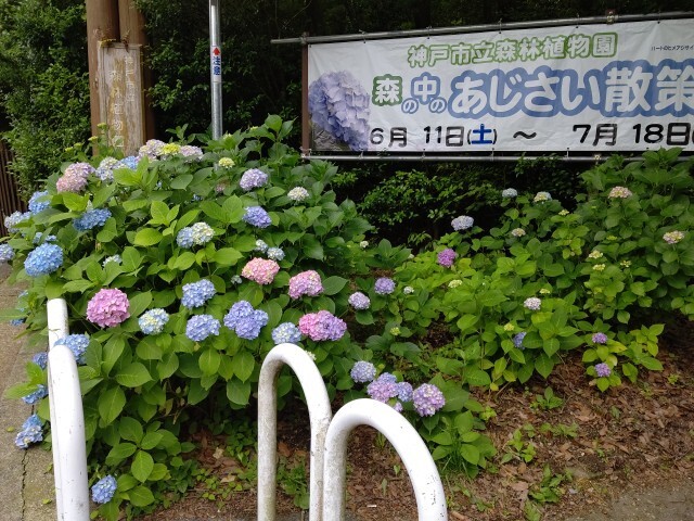 これから入園 楽しみ😀 / shigさんのモーメント | YAMAP / ヤマップ