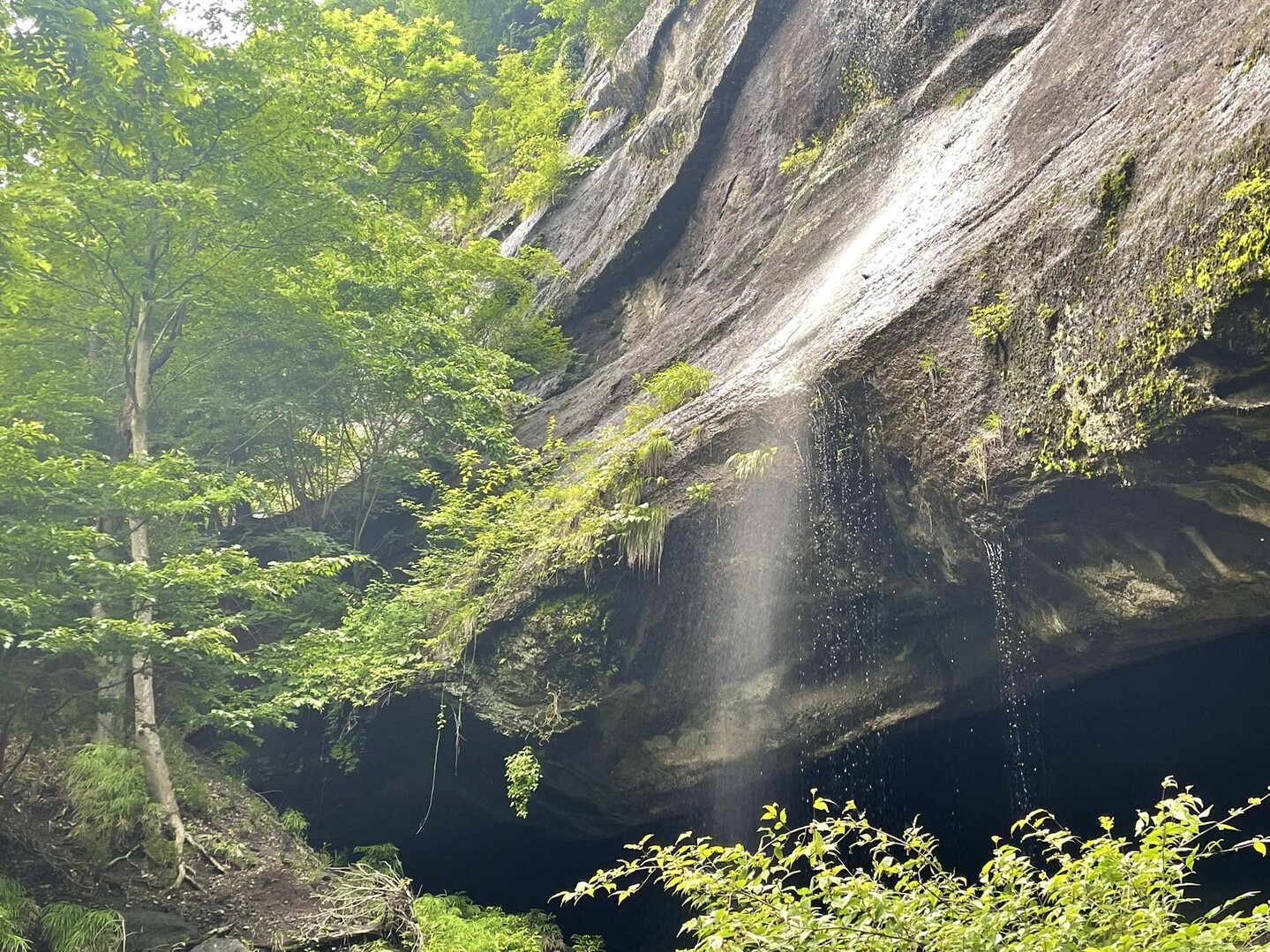 梅雨晴れの岩殿山 / Yossyさんの雁ヶ腹摺山・岩殿山の活動データ | YAMAP / ヤマップ
