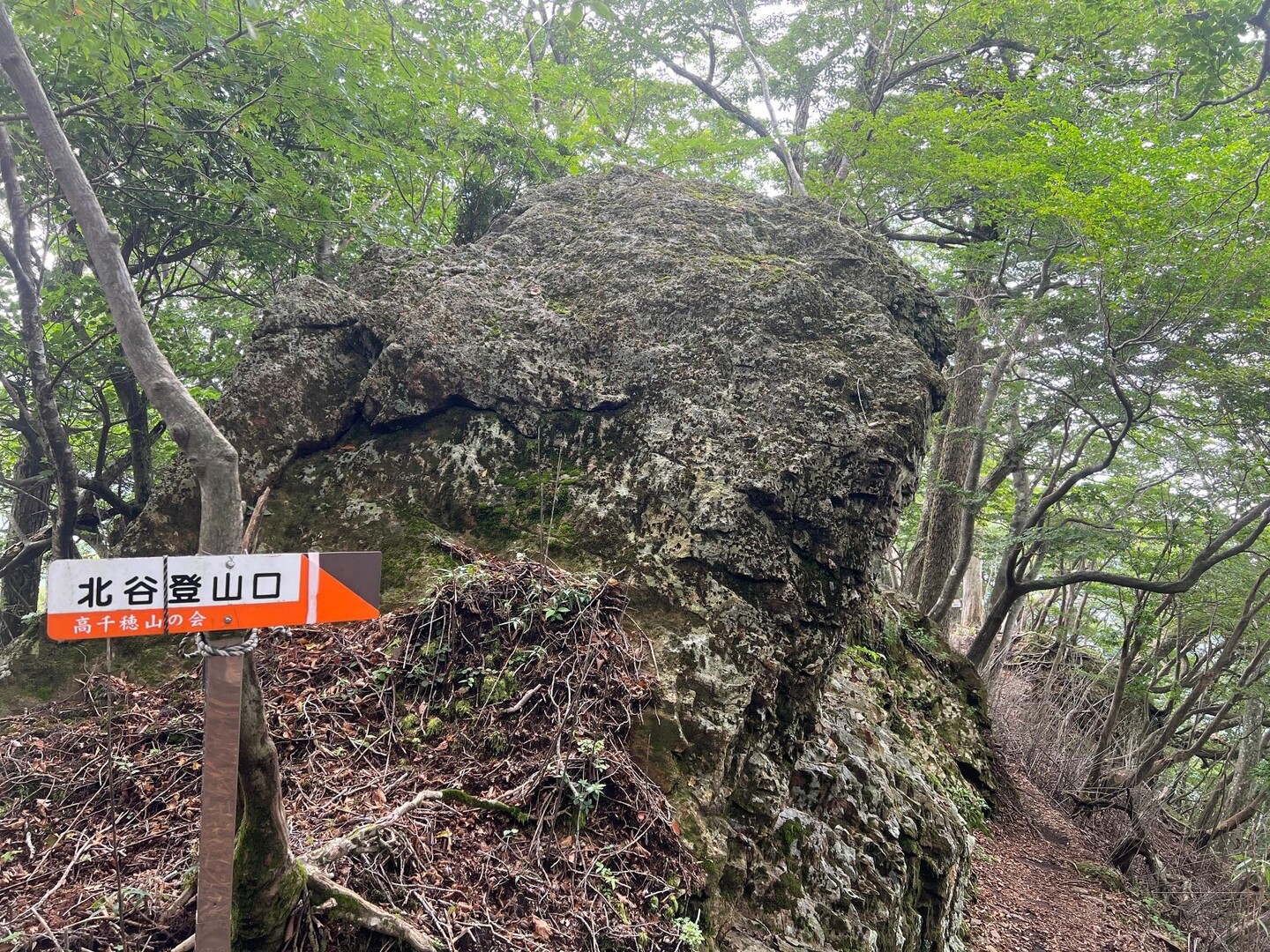 Manabu Yatate. Yard Beat.Desem さんの投稿したフィールドメモ | YAMAP / ヤマップ