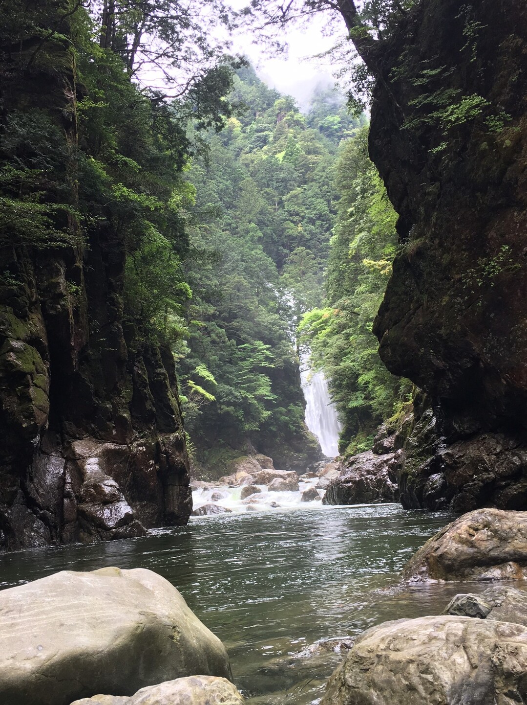 大杉谷 / Choroさんの大台ヶ原山・日出ヶ岳・大杉谷の活動データ | YAMAP / ヤマップ