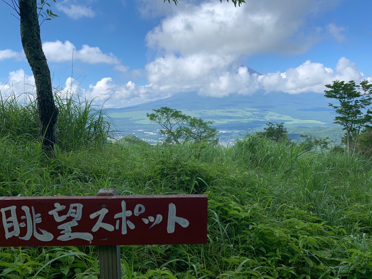 y a n a g iさんの投稿したフィールドメモ | YAMAP / ヤマップ