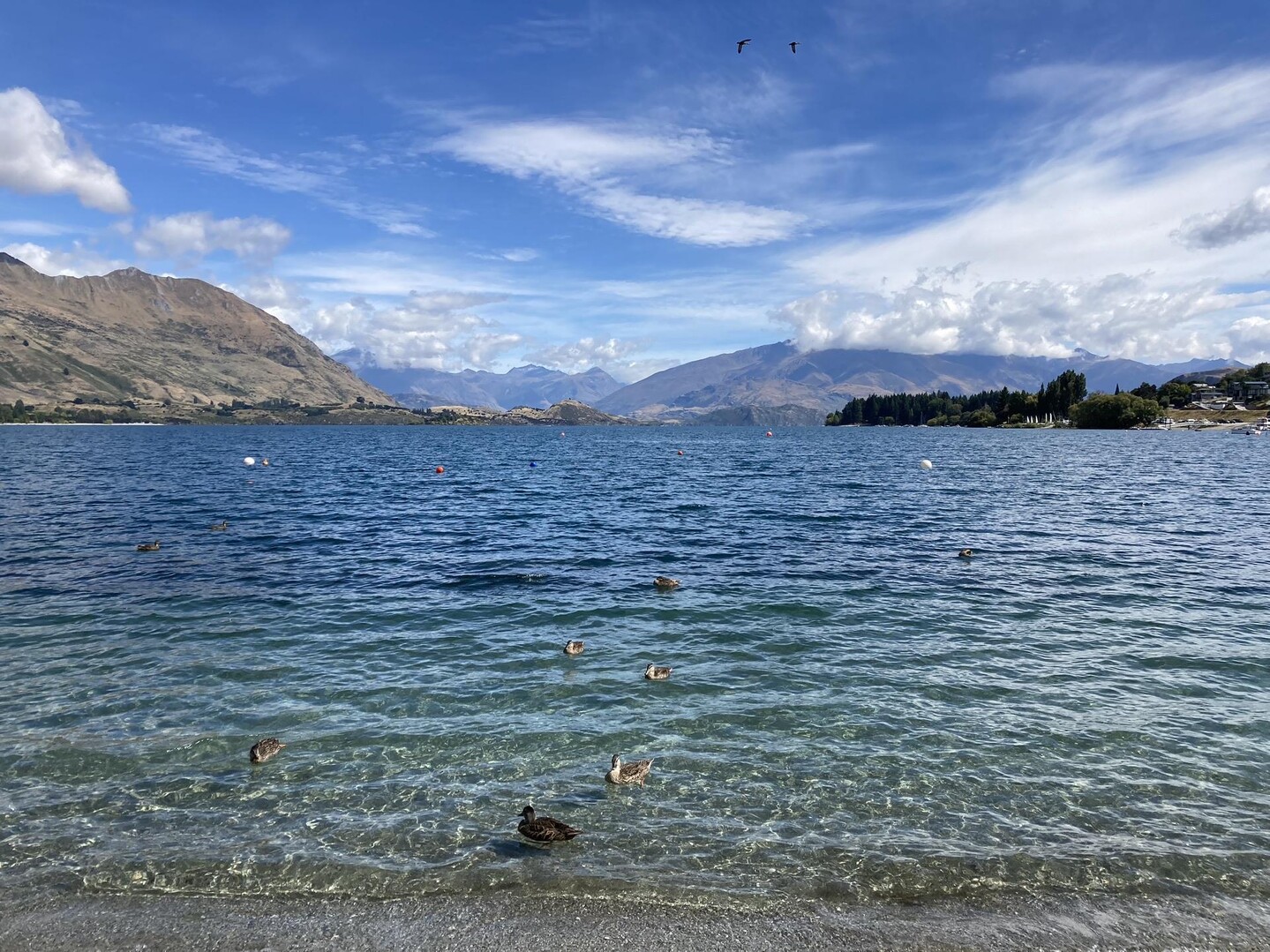 日光に似てるけど ちょっと違う😋 電波... / BONDIさんのモーメント | YAMAP / ヤマップ