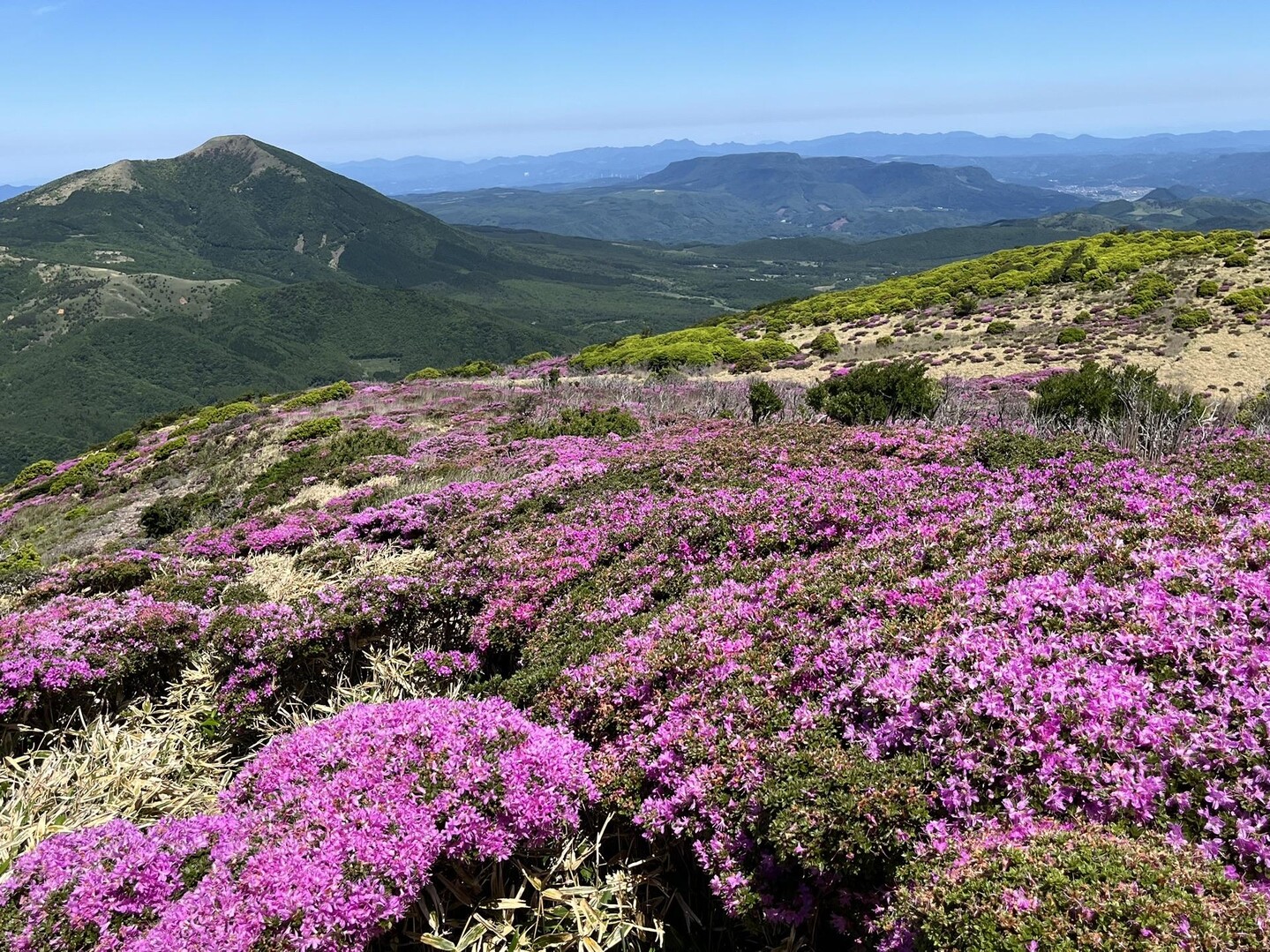 黒岩山・大崩ノ辻-2024-05-29 / Ma-buさんの九重山（久住山）・大船山・星生山の活動データ | YAMAP / ヤマップ