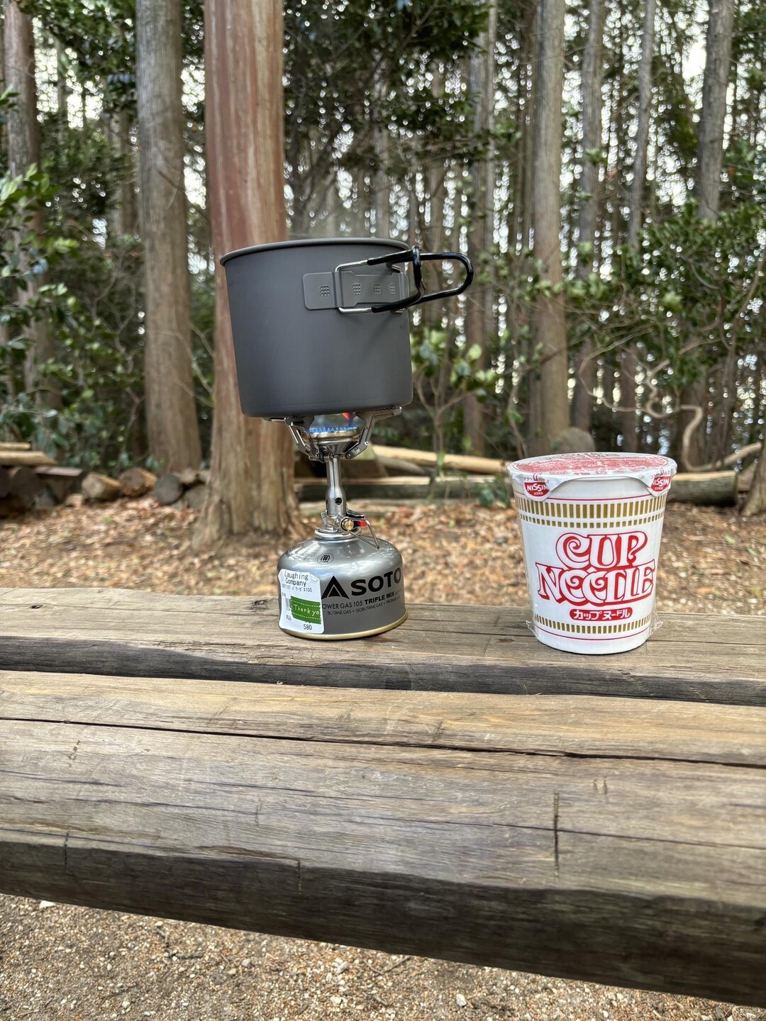 猿投山 / Now Loadingさんの猿投山・物見山の活動データ | YAMAP / ヤマップ