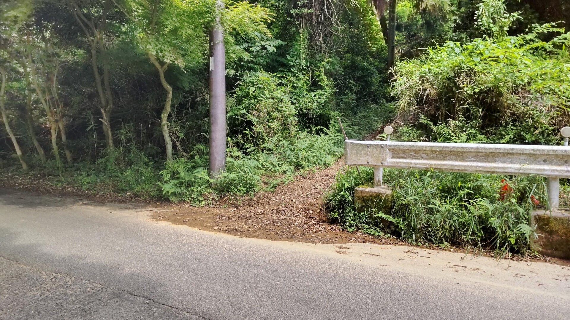 ショコラJr.さんの投稿したフィールドメモ | YAMAP / ヤマップ