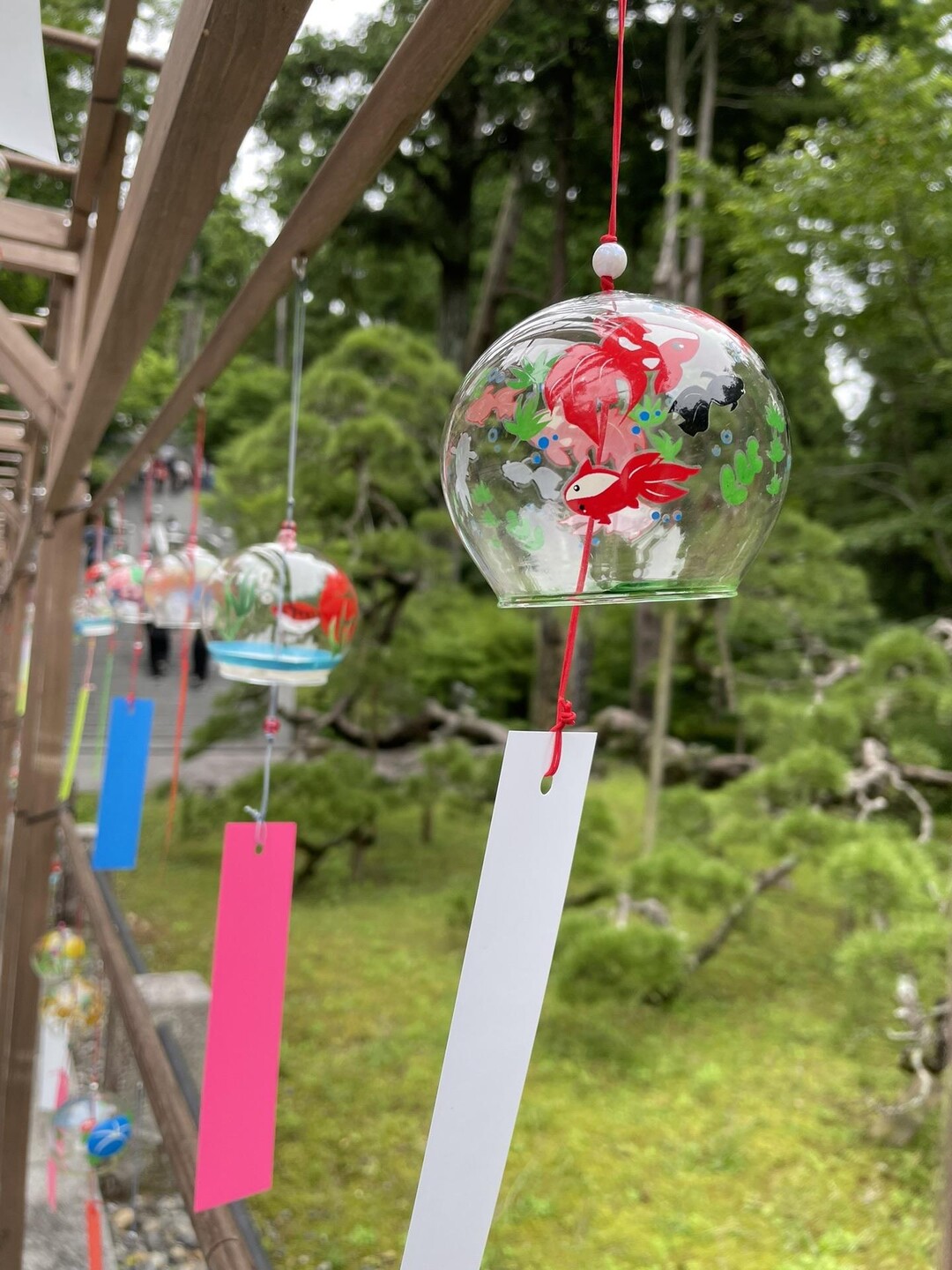 女神🗽と歩く🥾小笠山⛰️-2023-6-10 / akiさんの小笠山の活動日記 | YAMAP / ヤマップ