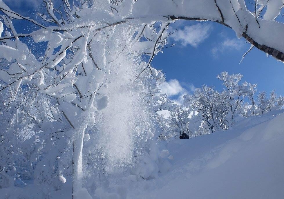 ’23・7・24 ⛄ 暑中お見舞い申し... / SMさんのモーメント | YAMAP / ヤマップ