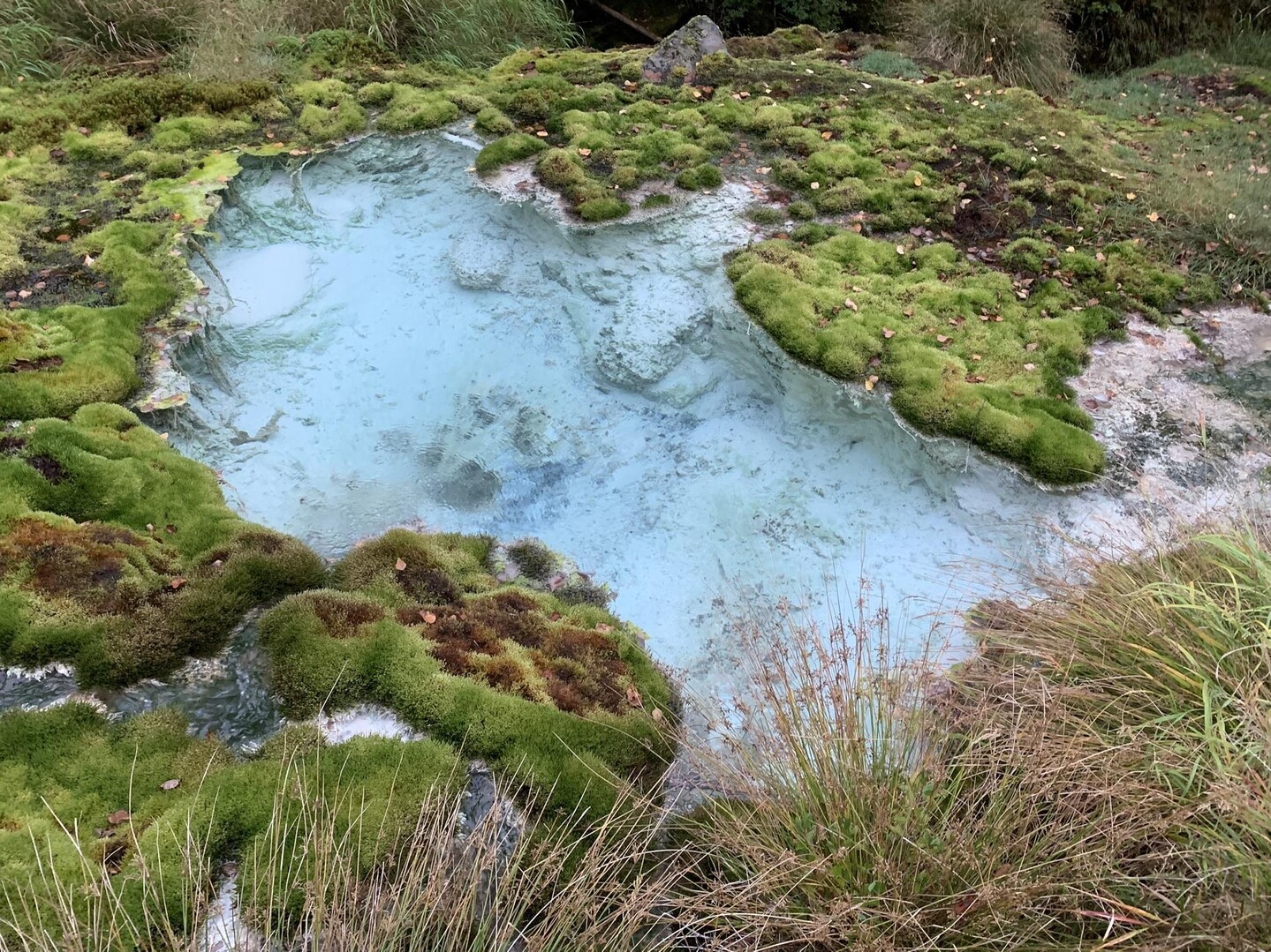 セガレ連れ！東天狗岳・西天狗岳 / shintaさんの八ヶ岳（赤岳・硫黄岳・天狗岳）の活動データ | YAMAP / ヤマップ