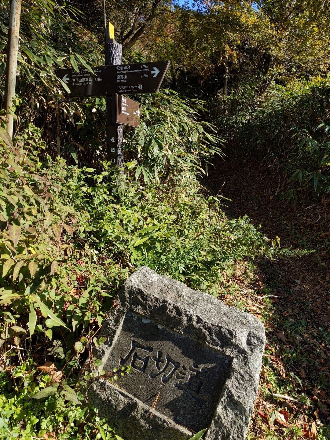 Guestさんの投稿したフィールドメモ | YAMAP / ヤマップ