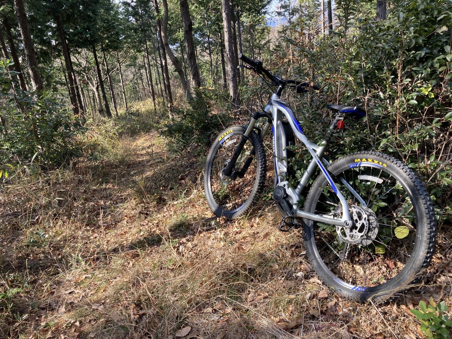 今日は富岡林道にe-MTBでラン / yuziさんの吉祥山の活動データ | YAMAP / ヤマップ