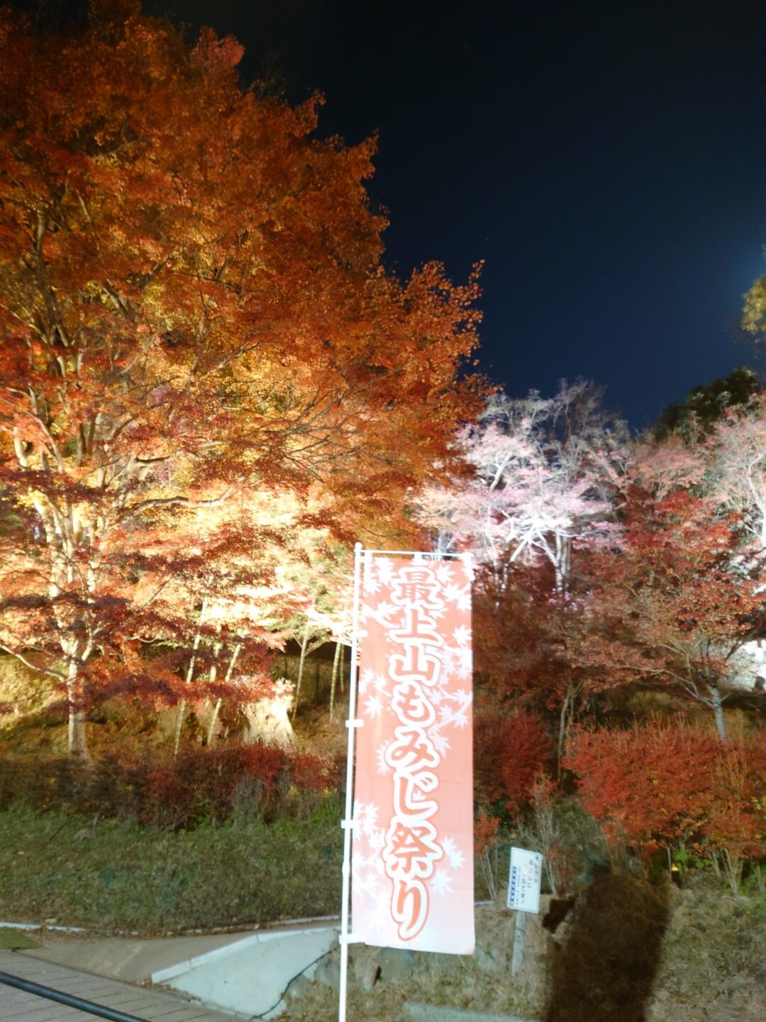 最上山もみじ祭り🍁-2023-11-26 / Ken16さんのウォーキングの活動データ | YAMAP / ヤマップ