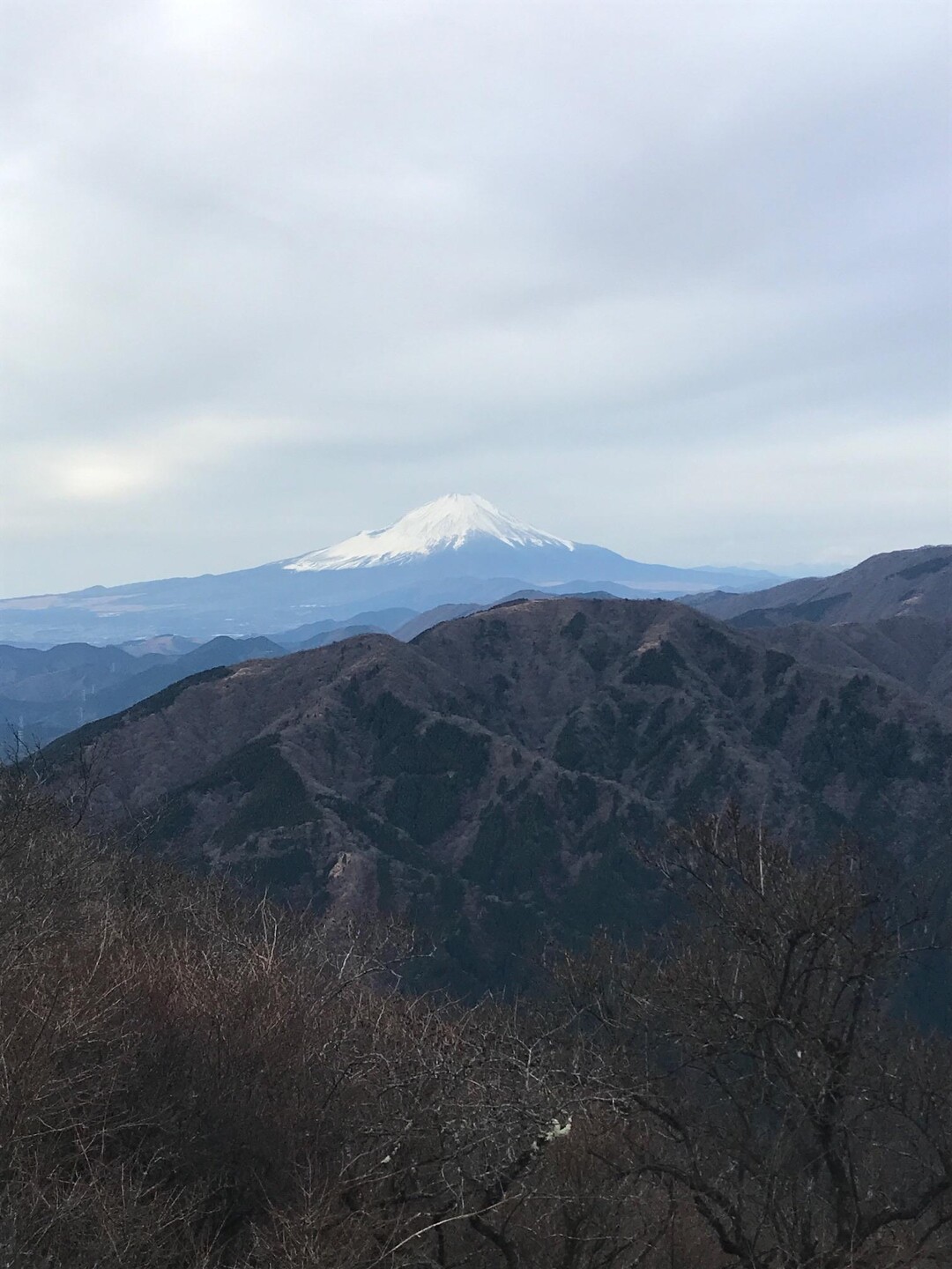 大山 / ケンさんの大山の活動データ | YAMAP / ヤマップ