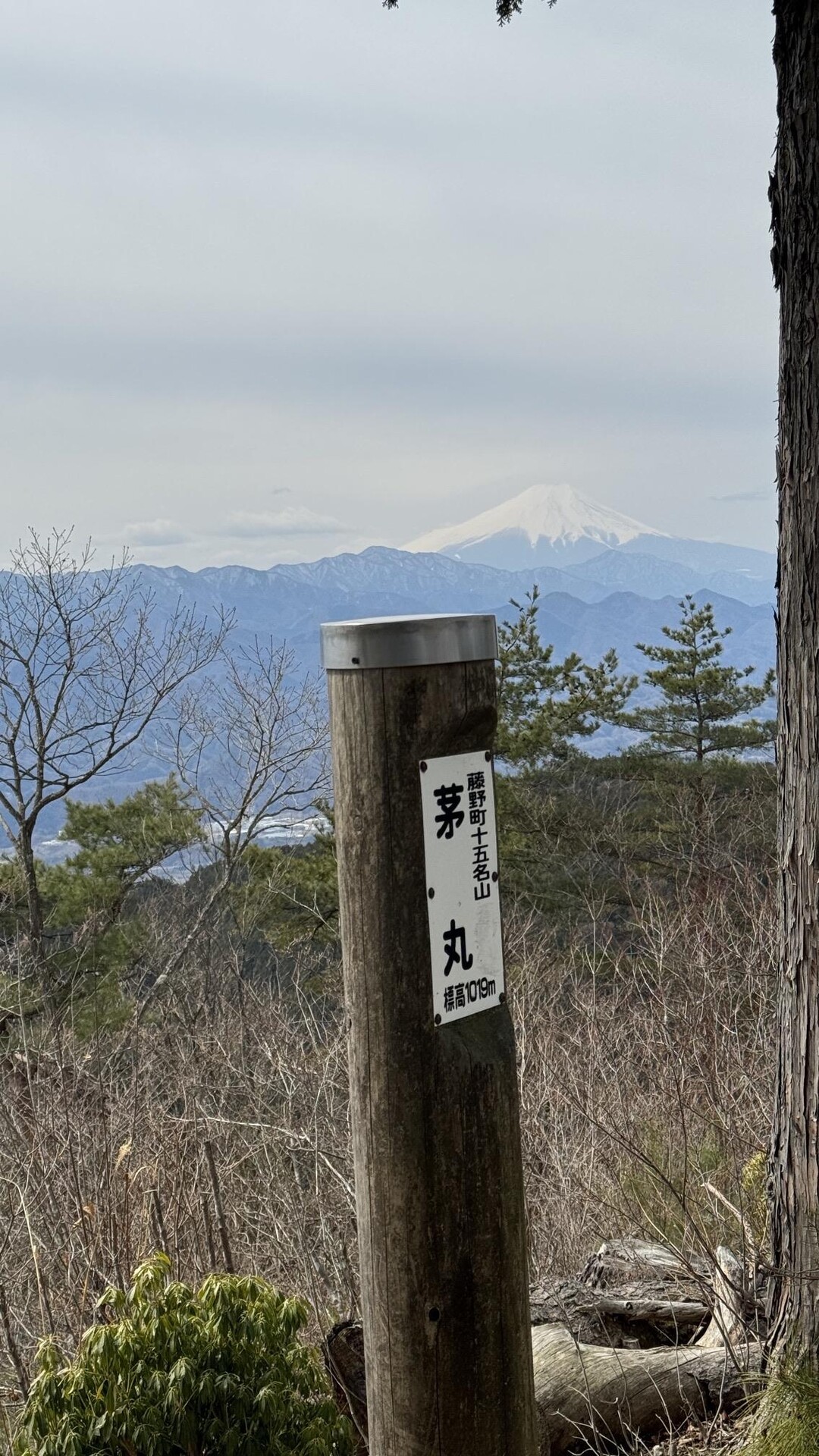 藤野駅～鷹取山・三国山・醍醐丸・陣馬山・高尾山～高尾山口駅 / rainmanさんの高尾山・陣馬山・景信山の活動日記 | YAMAP / ヤマップ