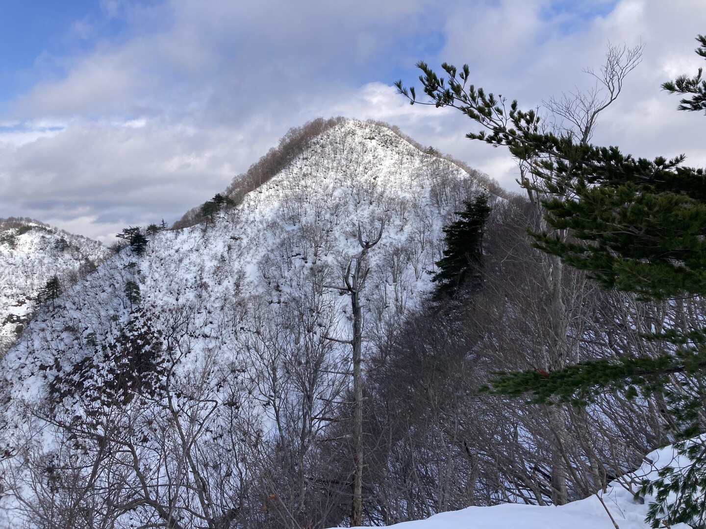 袴腰山 / hi-chanさんの粟ヶ岳・權ノ神岳・宝蔵山の活動日記 | YAMAP / ヤマップ