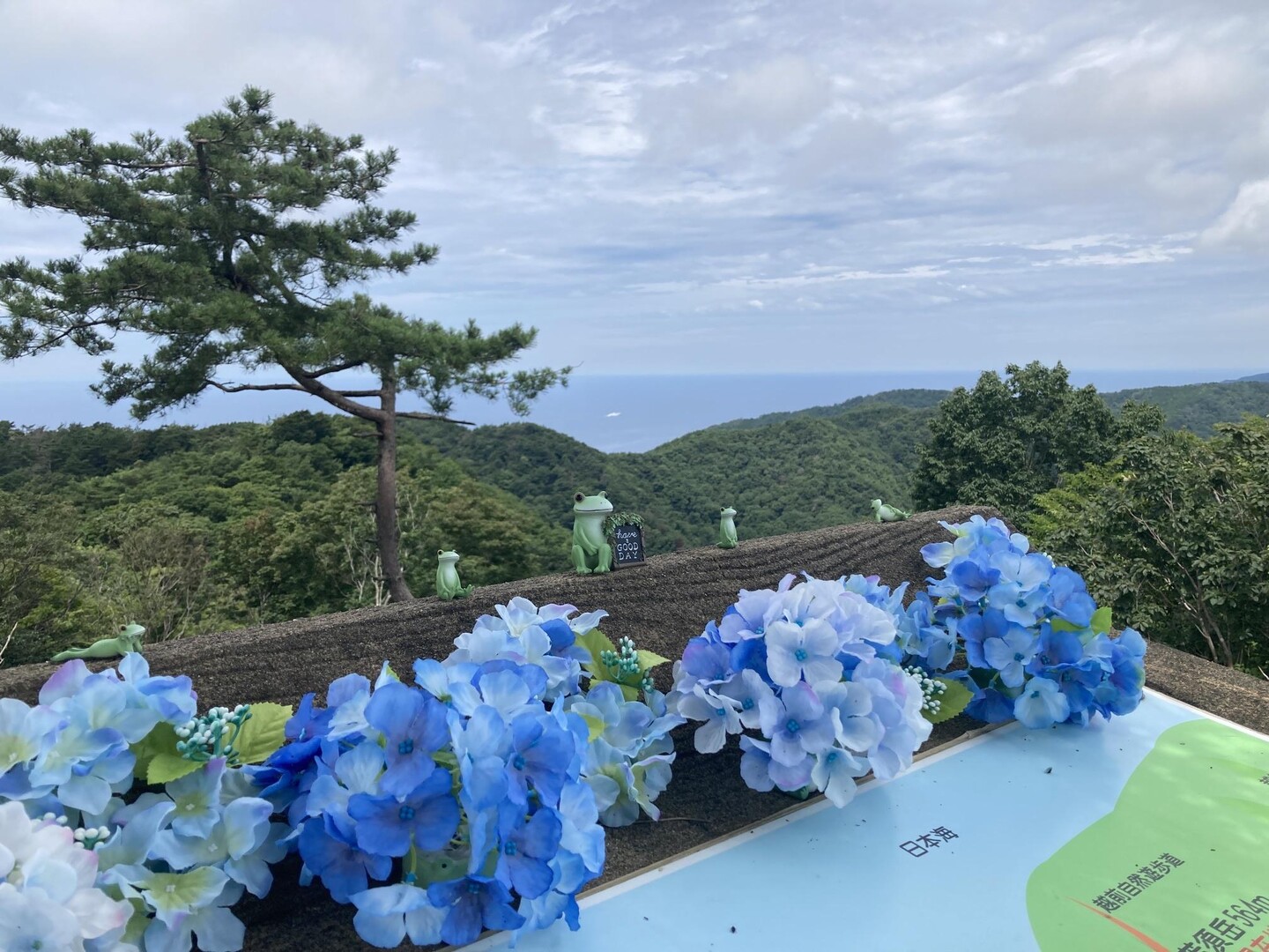 若須岳 / mi_chicoさんの若須岳の活動データ | YAMAP / ヤマップ