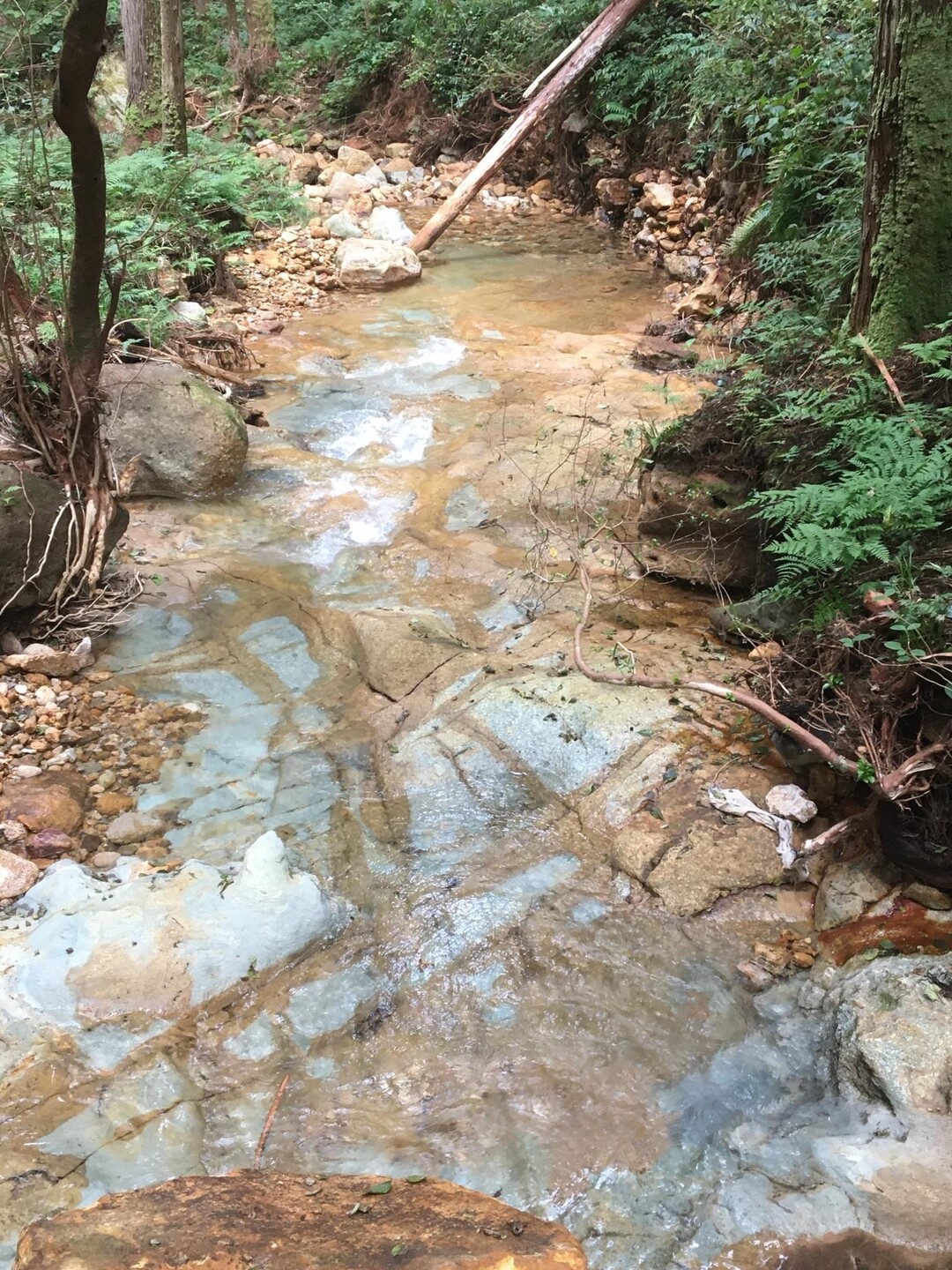 jog高野山🤫 / yamaさんの遣水観音山・遊泉寺砂山・高野山の活動データ | YAMAP / ヤマップ