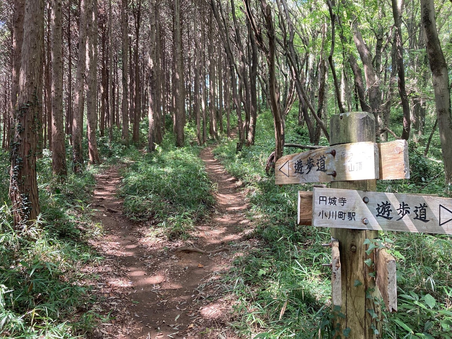 taoさんの投稿したフィールドメモ | YAMAP / ヤマップ