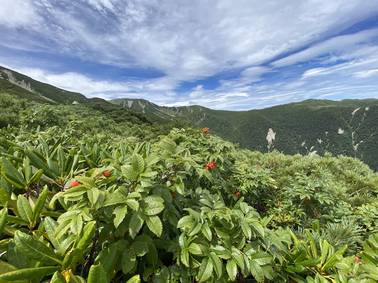 北御所登山口から伊那前岳へ / R320さんの木曽駒ヶ岳・空木岳・越百山の活動データ | YAMAP / ヤマップ